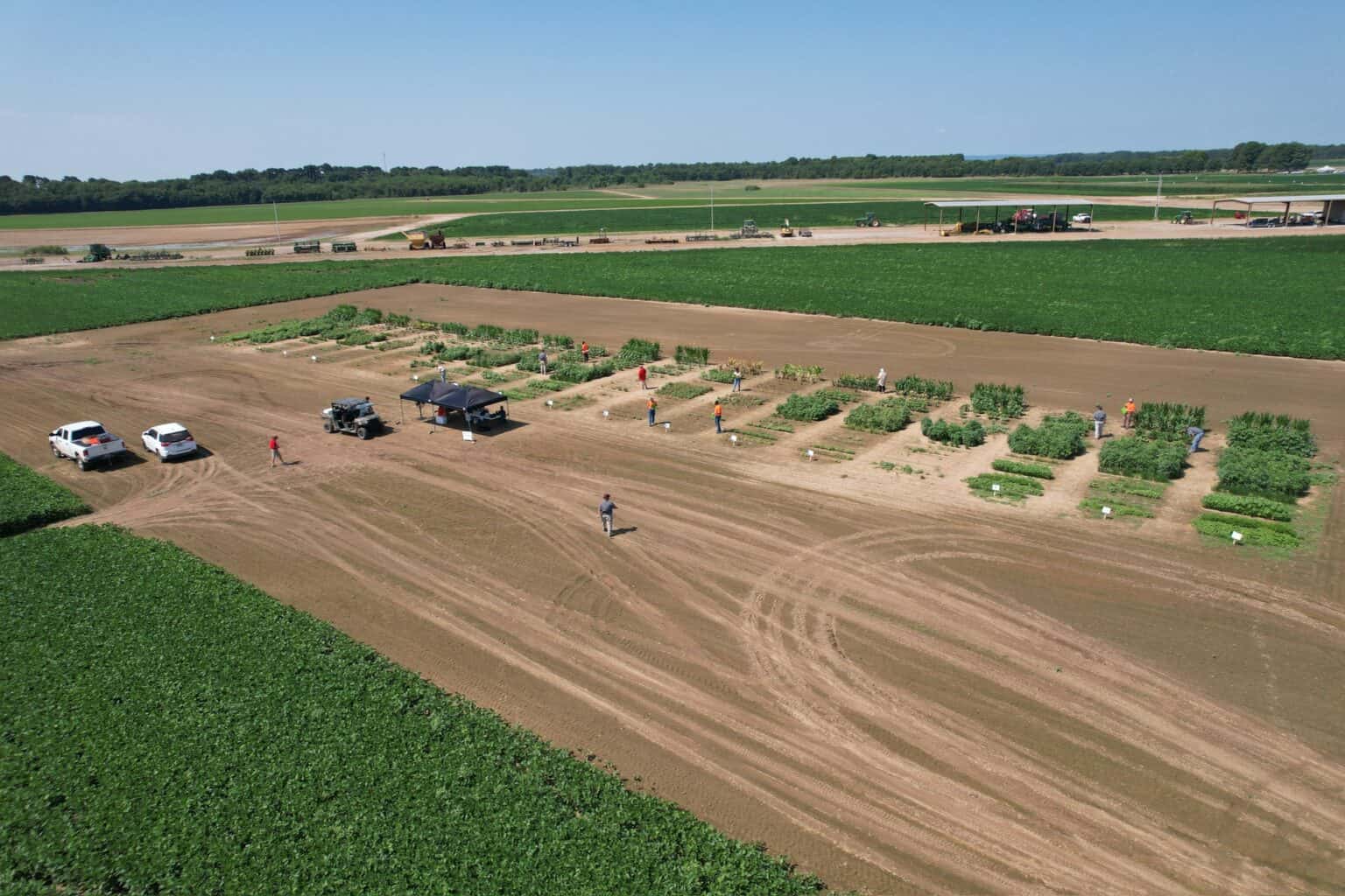 WSSA Unveils 2025 Student Competition Award Winners - Weed Science ...